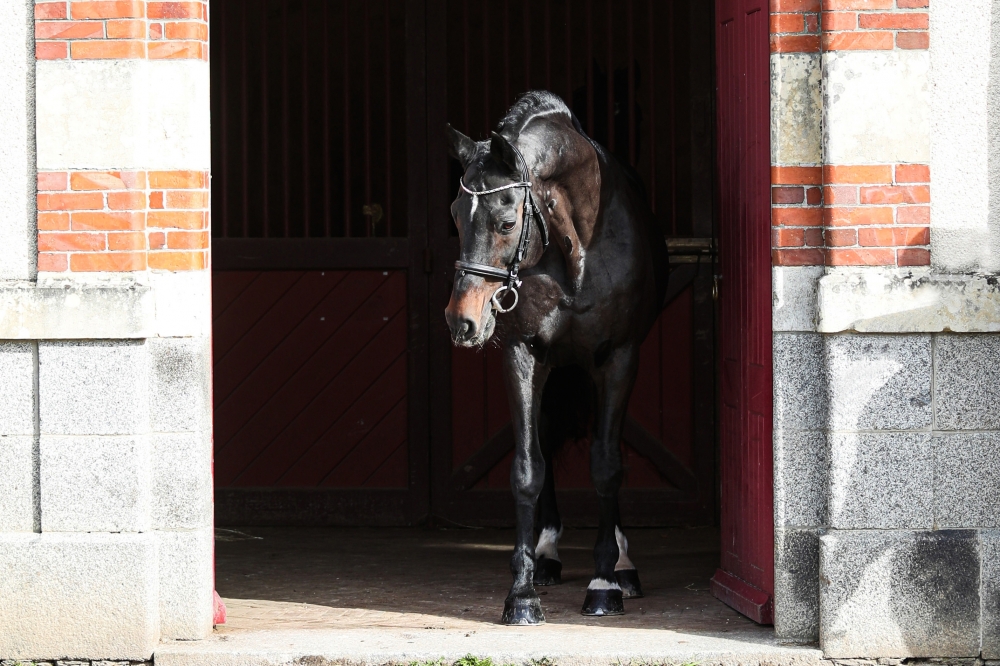 Groupe France Élevage - CONTENDRO