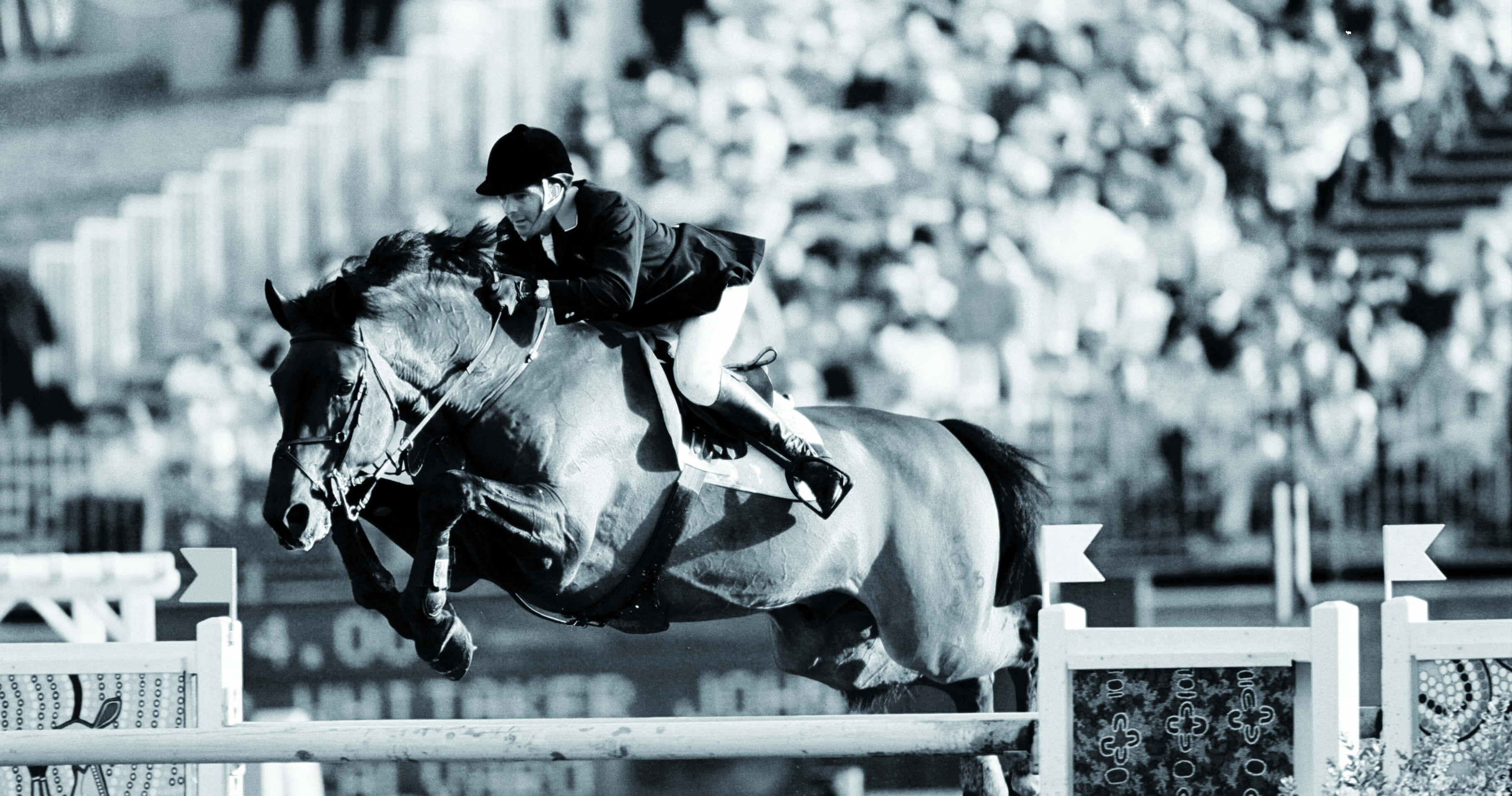 Groupe France Élevage - LES ACTUALITES DE CALVARO - Actualités